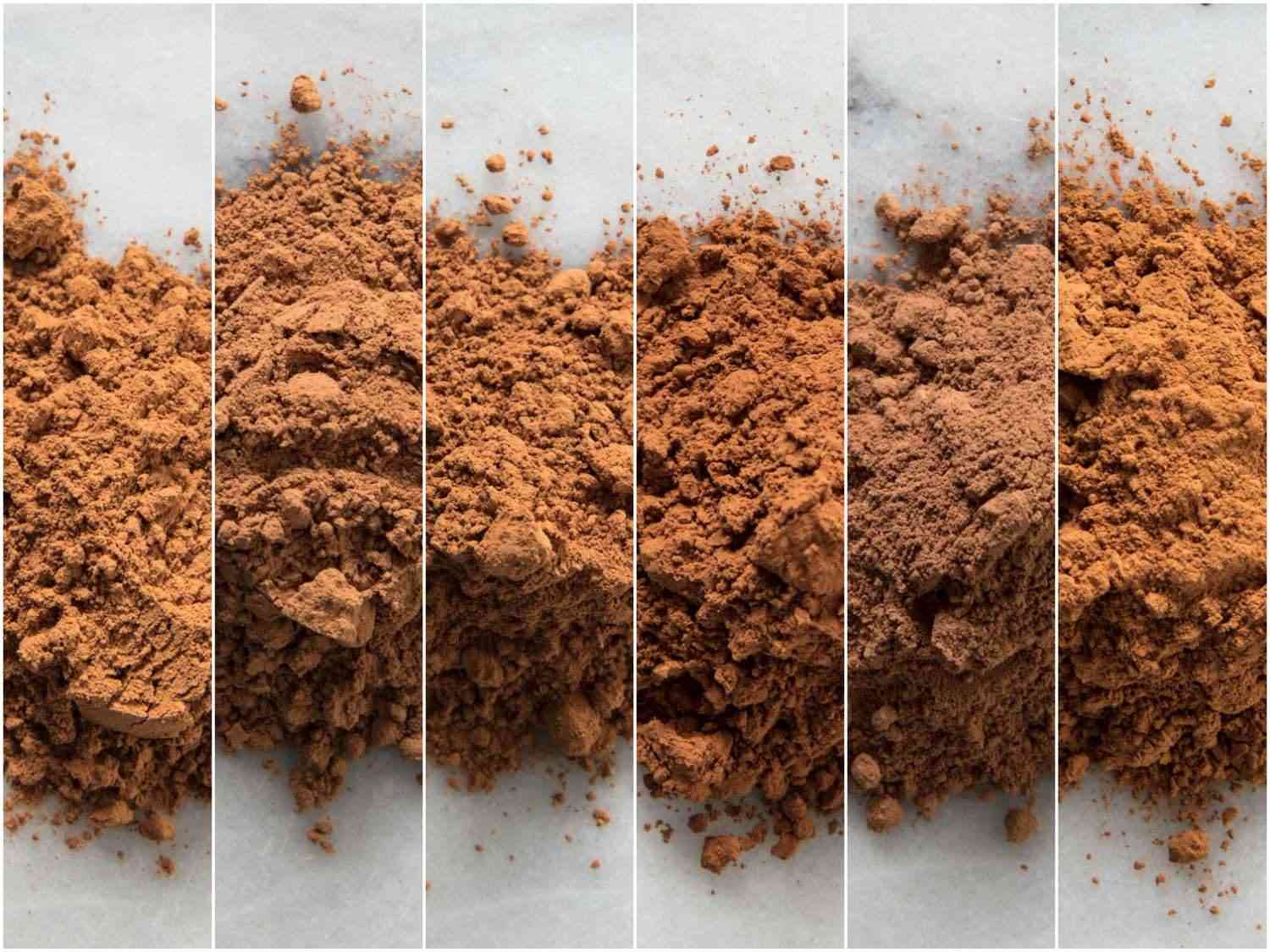 Alkalized vs Non Alkalized Cocoa Powder: Get to Know More - CocoaNusa