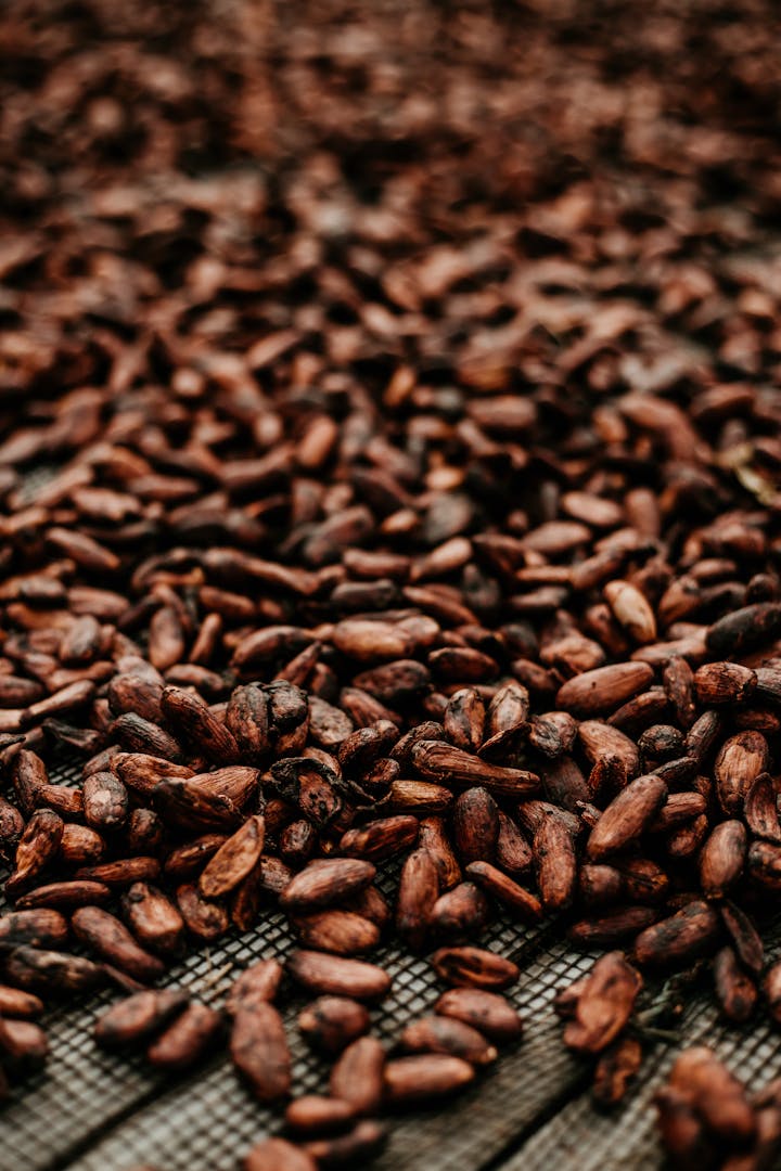 Cocoa Powder Producer Story: Story of Altinmarka - CocoaNusa