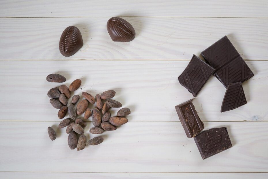 What is Cocoa Solids? Unveiling Chocolate's Building Blocks - CocoaNusa