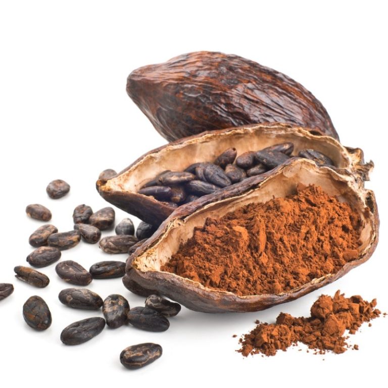 Precision-Fermented Cocoa Flavors – How to Crafting a Rich Indulgence ...